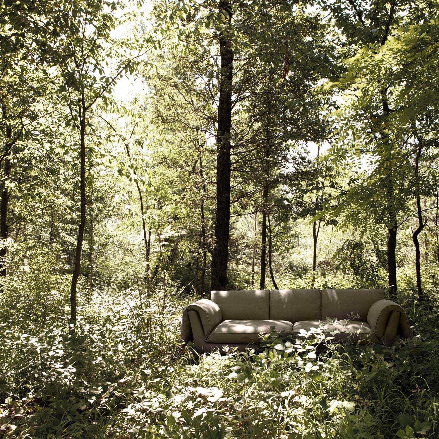 How can I buy sustainable furniture? – Biosofa